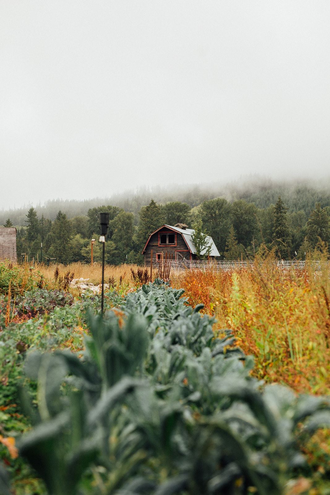 Calendar • Frey Family Farm Work Party